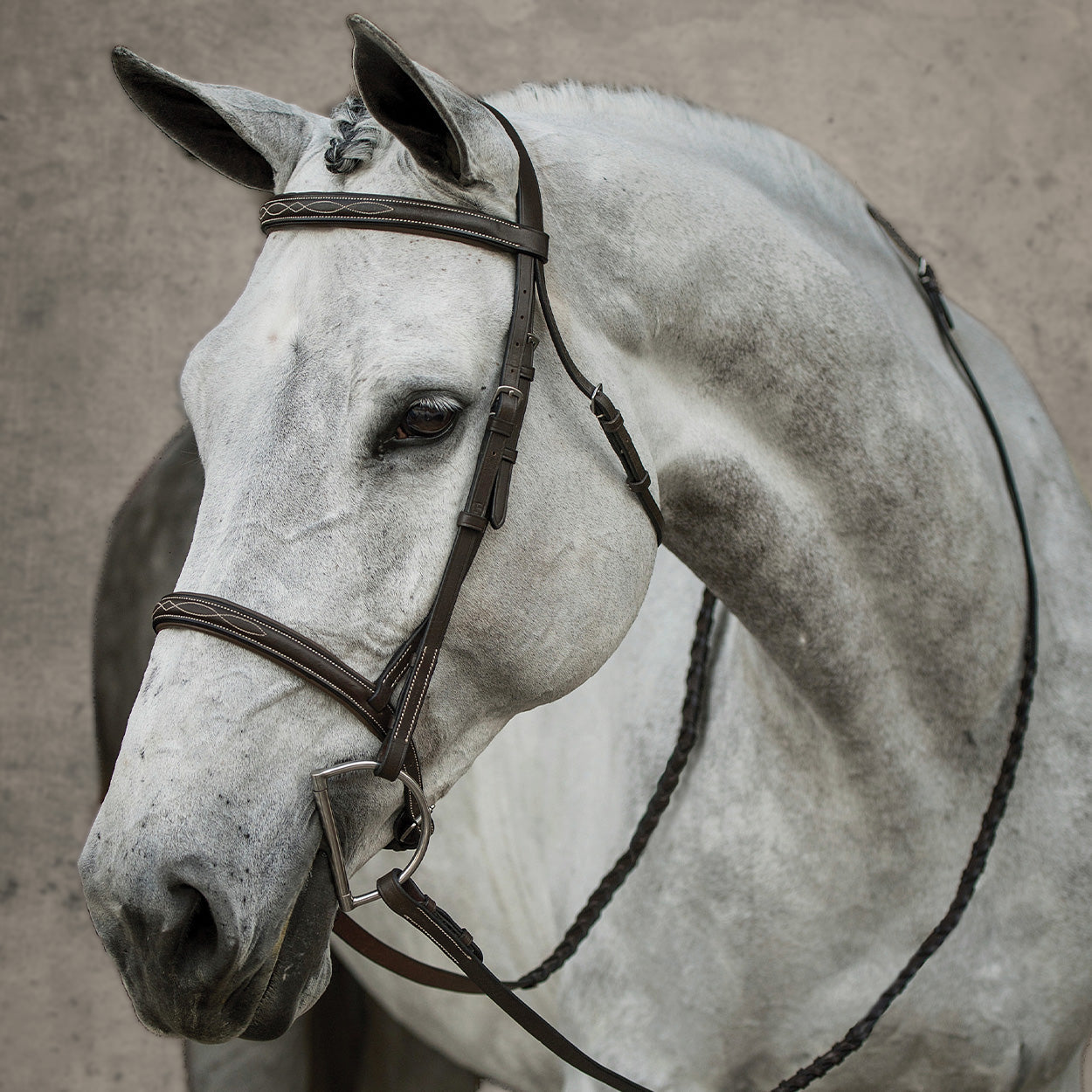 Horse Bridles and Parts – Page – Dover Saddlery