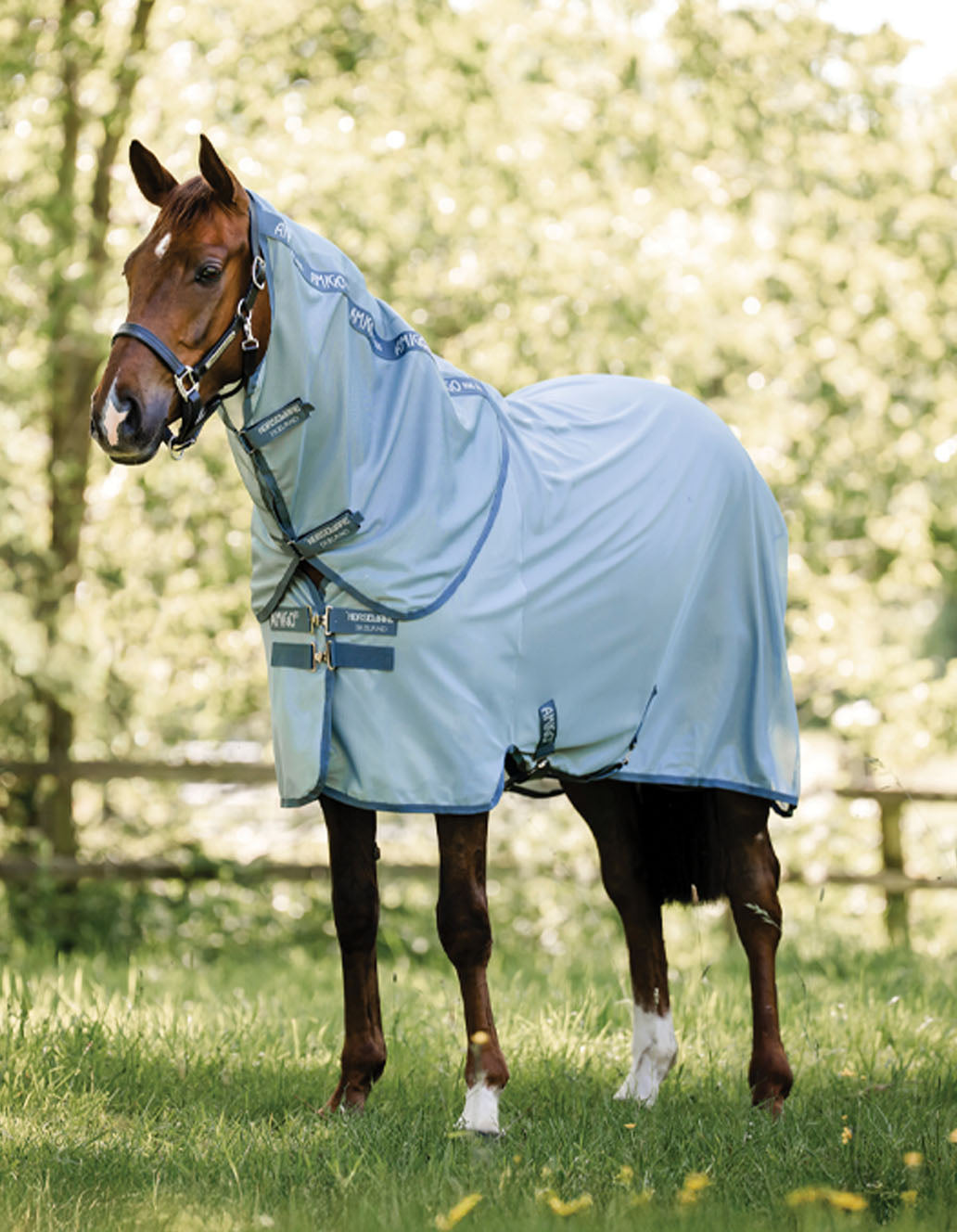 Fly Sheets, Masks, and More for Horses – Dover Saddlery