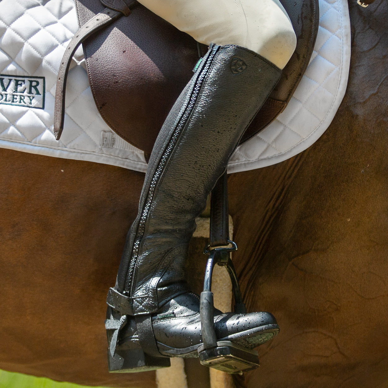 Half Chaps for Horse Riding – Page – Dover Saddlery