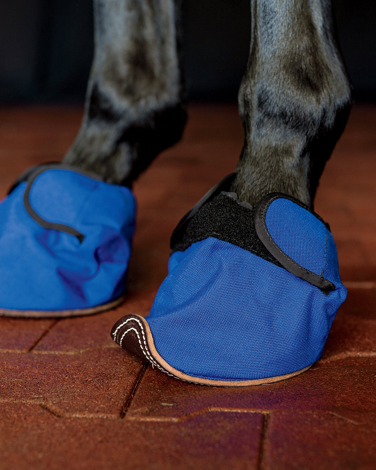 Horse Hoof Boots, Hock Boots – Dover Saddlery