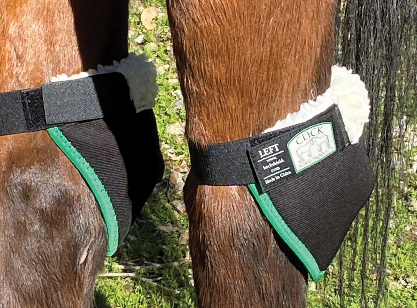 Horse Hoof Boots, Hock Boots – Dover Saddlery