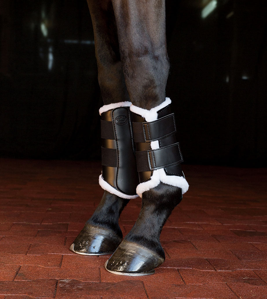 Horse Boots: Open Front, Fetlock & All Purpose Boots – Dover Saddlery