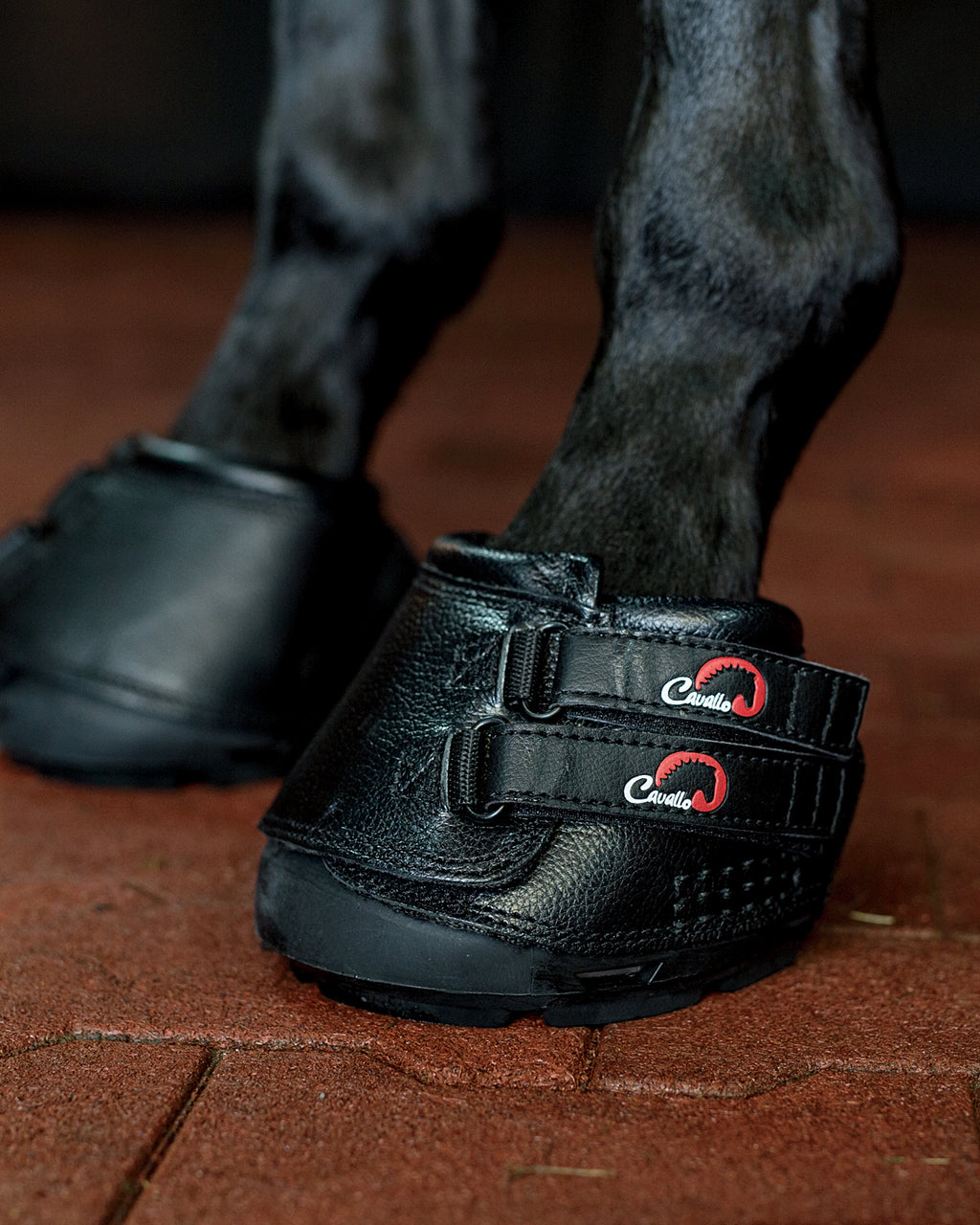 Horse Hoof Boots, Hock Boots – Dover Saddlery