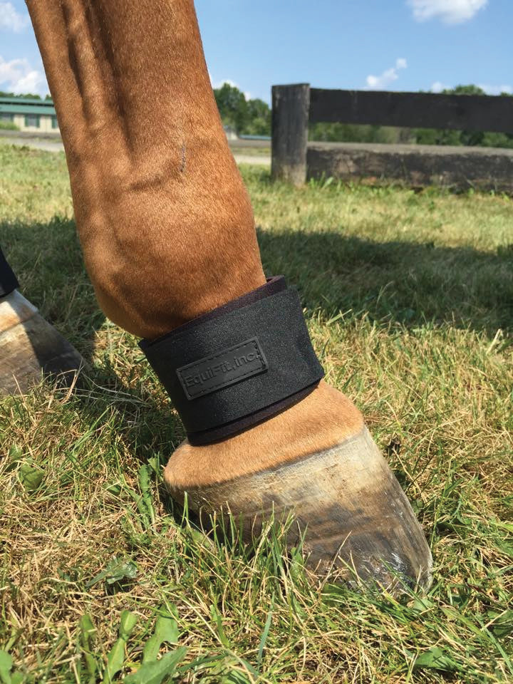 Horse Hoof Boots, Hock Boots – Dover Saddlery