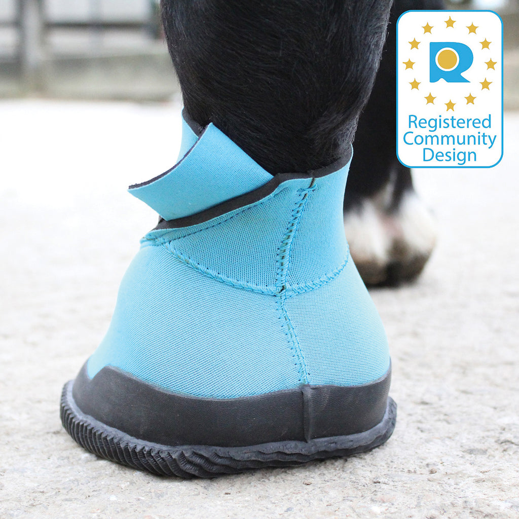 Horse Hoof Boots, Hock Boots – Dover Saddlery