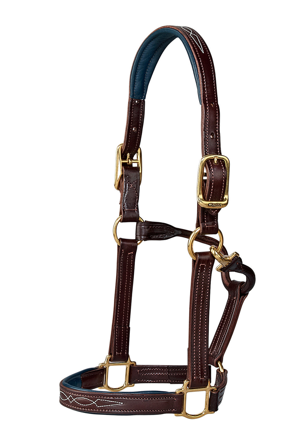 Horse Halters and Leads – Dover Saddlery