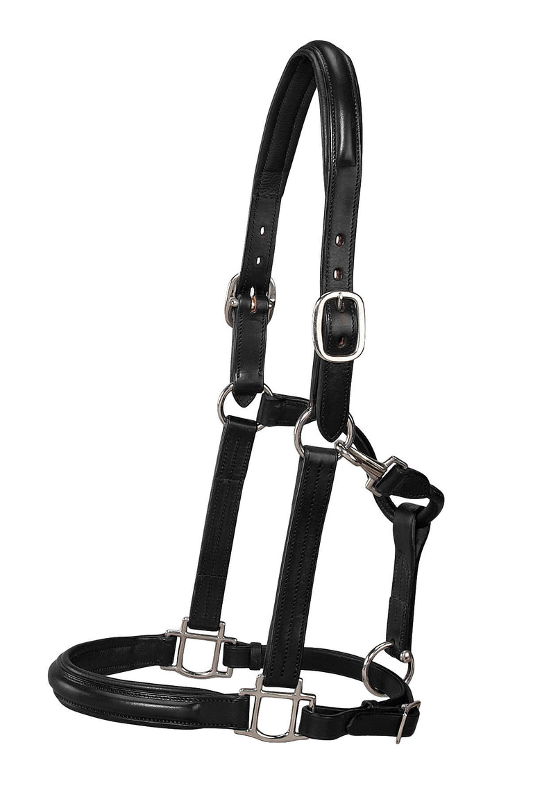 Horse Halters – Page – Dover Saddlery