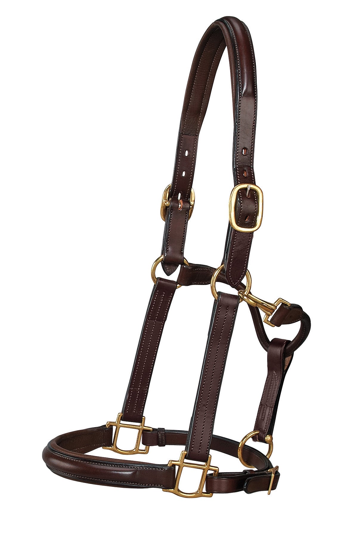 Horse Halters – Page – Dover Saddlery