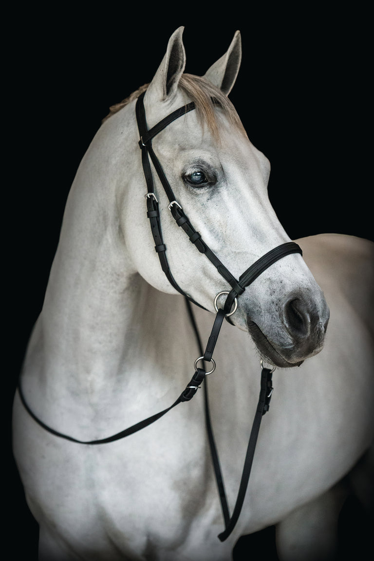 Horse Bridles and Parts – Dover Saddlery
