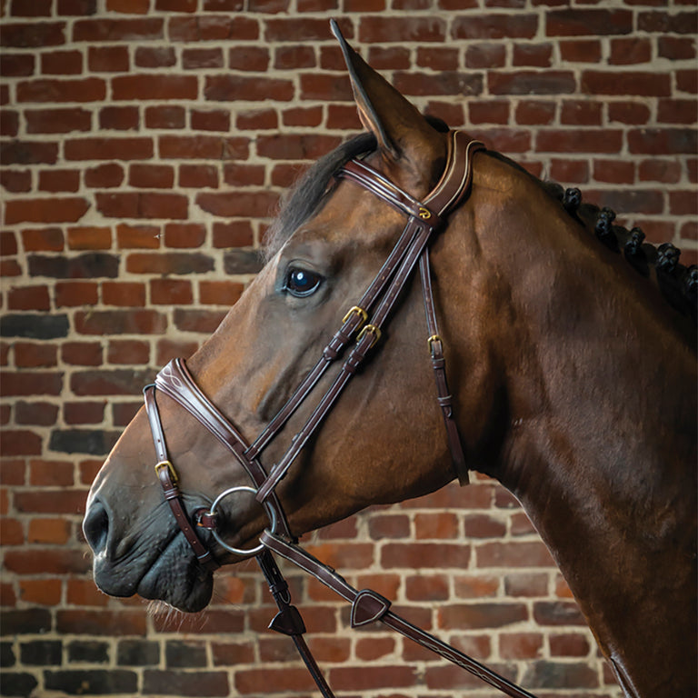 Horse Bridles and Parts – Dover Saddlery