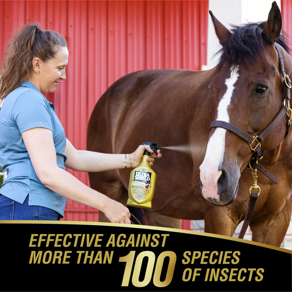 Fly Protection for Horses – Dover Saddlery
