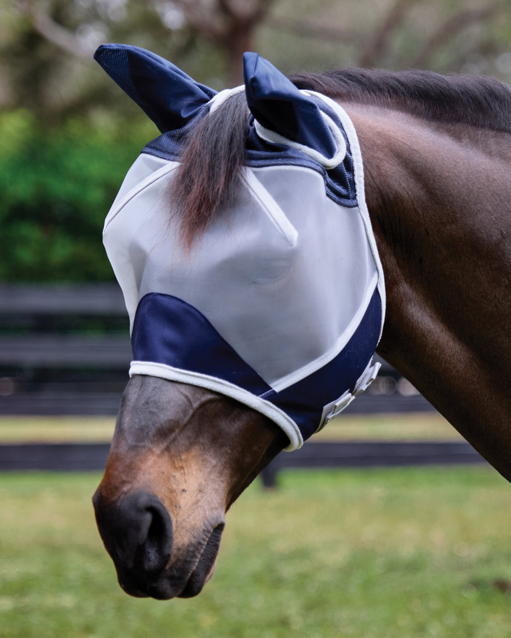 Fly Sheets, Masks, and More for Horses – Dover Saddlery