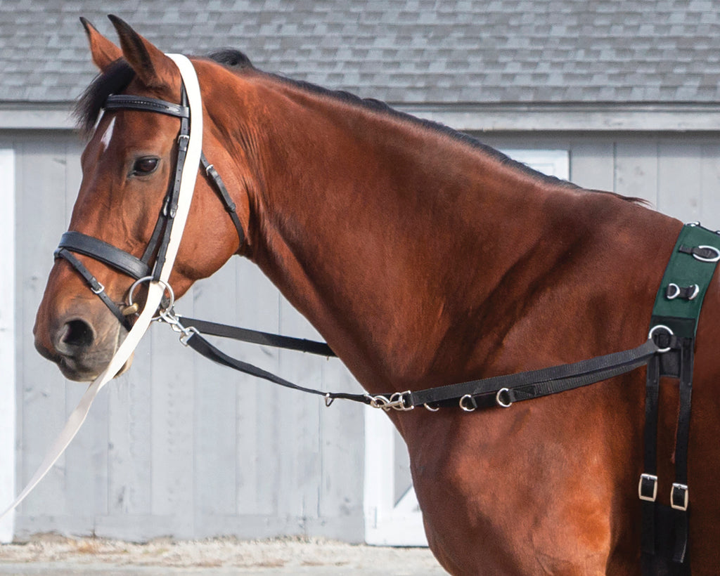 Lunge Lines, Draw Reins, Surcingles – Dover Saddlery