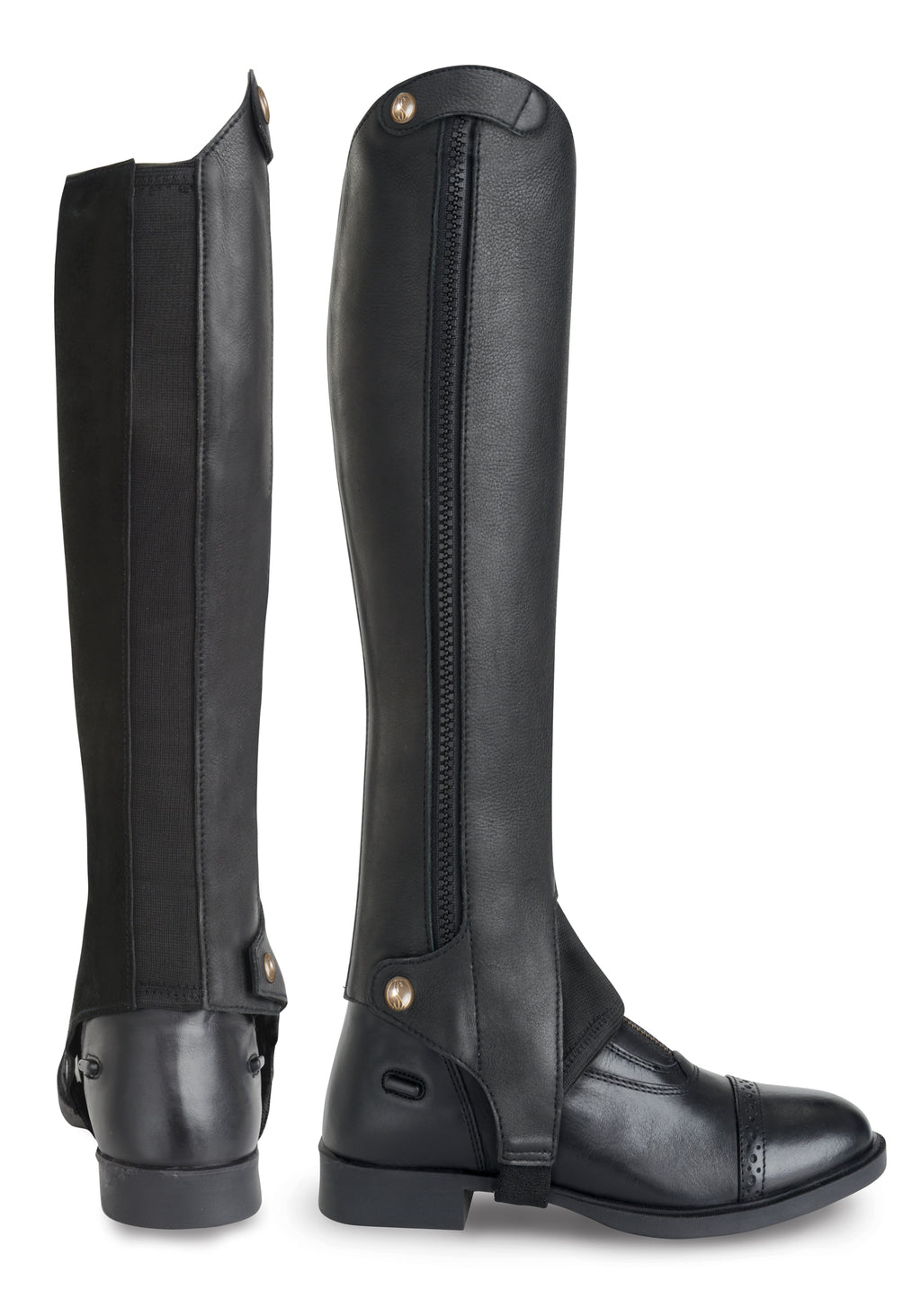 Half Chaps – Dover Saddlery