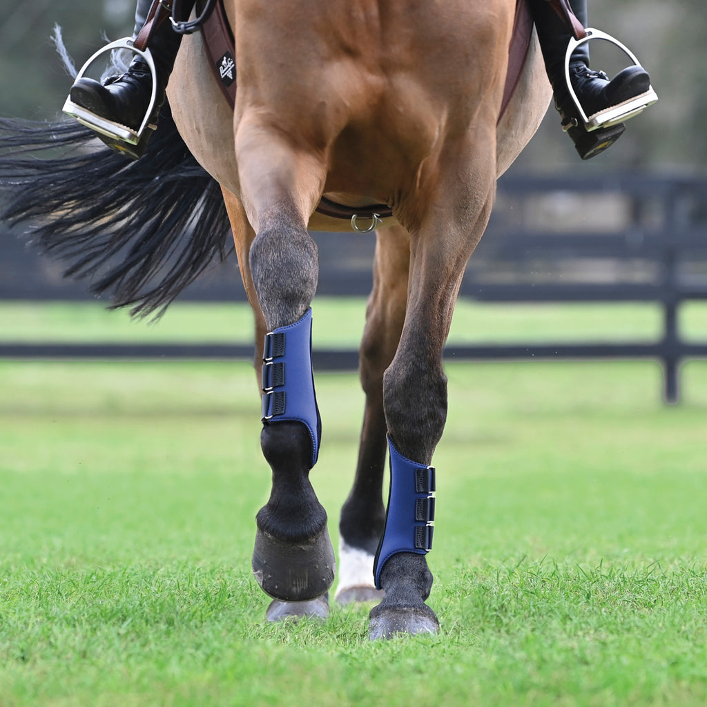 Horse Boots: Open Front, Fetlock & All Purpose Boots – Dover Saddlery