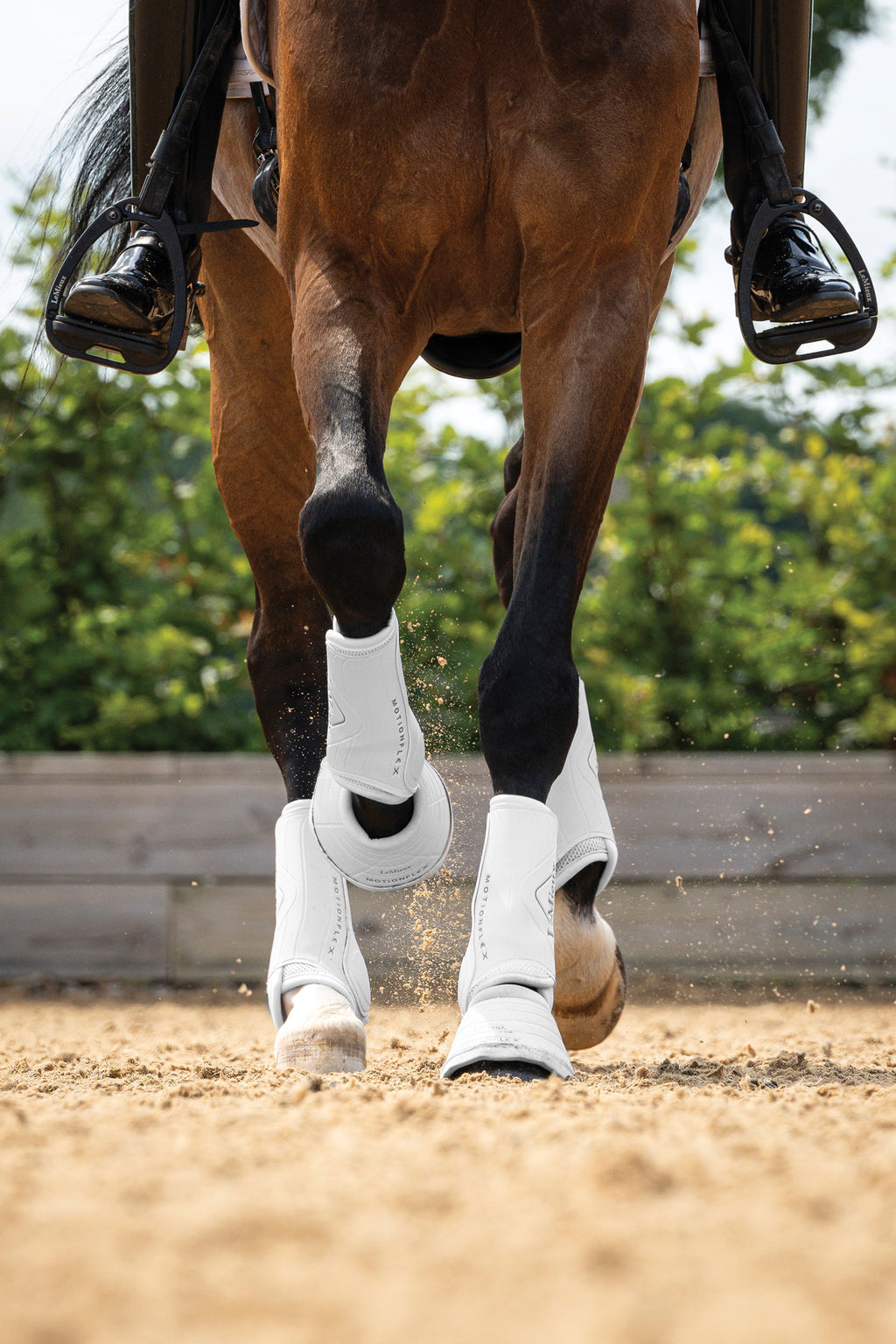 Horse Boots & Horse Leg Wraps – Page – Dover Saddlery