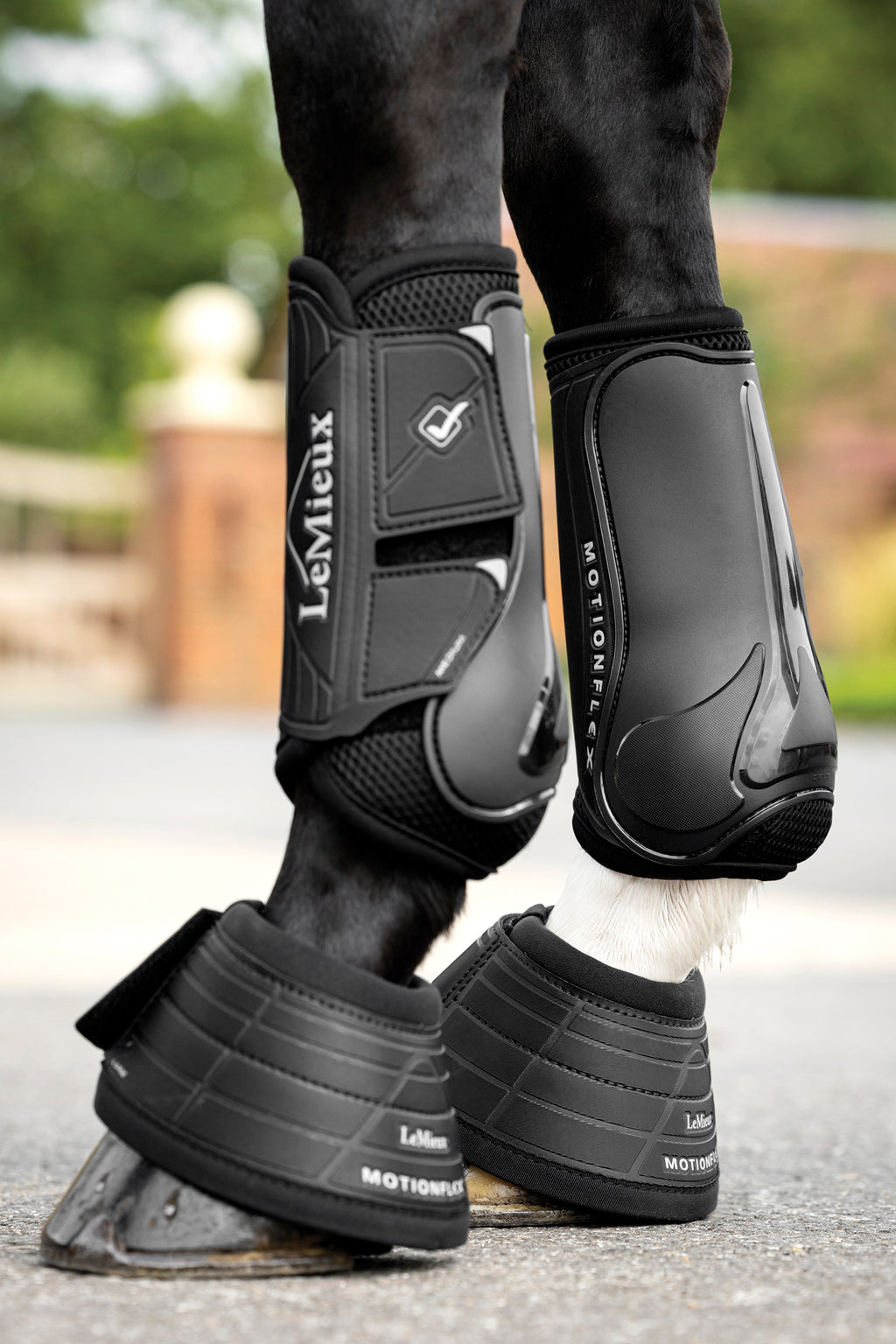 Horse Boots & Horse Leg Wraps – Page – Dover Saddlery