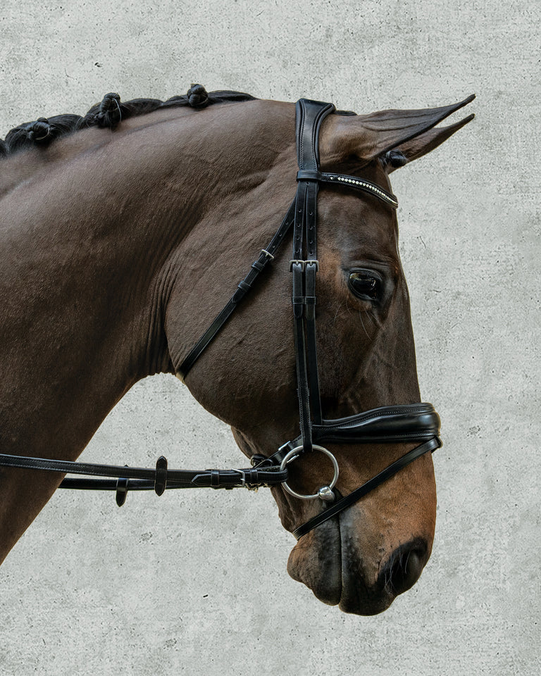 English Bridles for Horses – Dover Saddlery