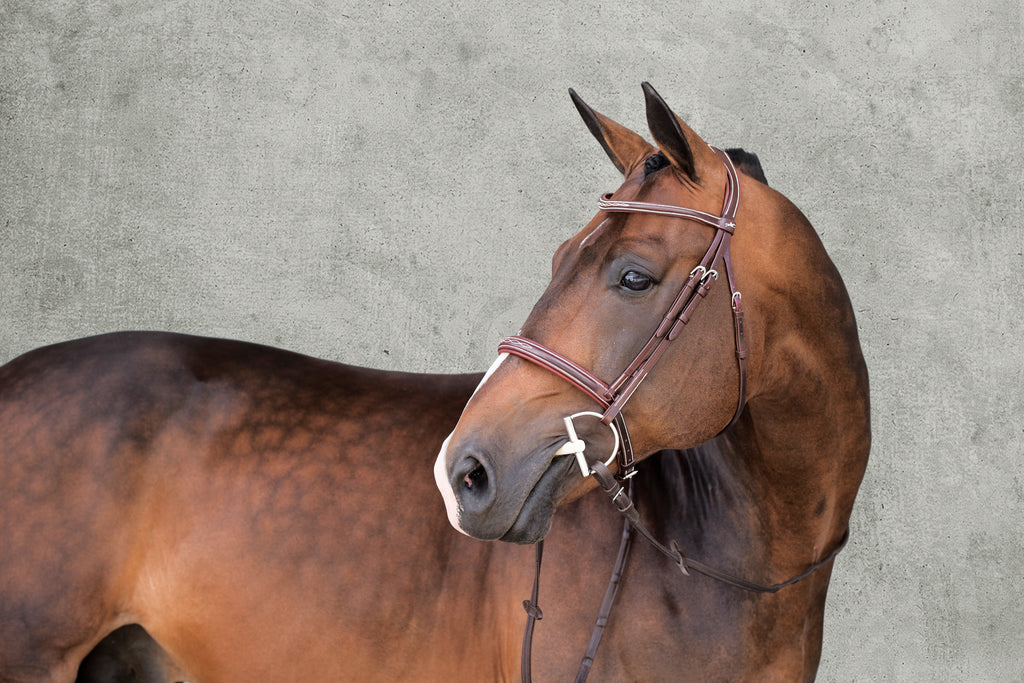 English Bridles for Horses – Dover Saddlery