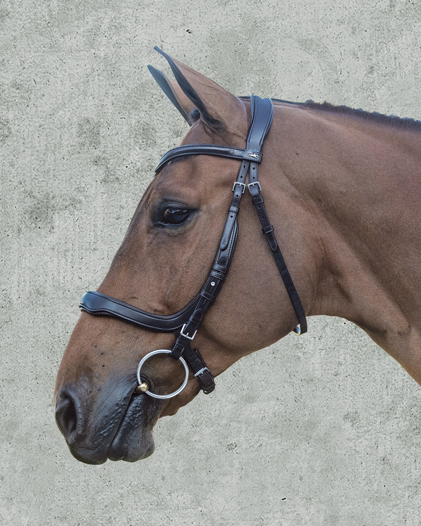 English Bridles for Horses – Dover Saddlery