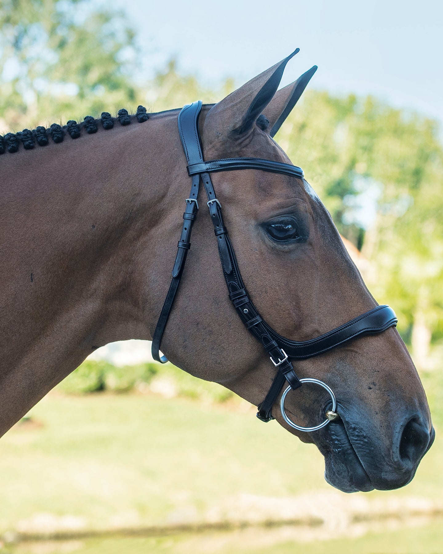 Horse Bridles and Parts – Dover Saddlery