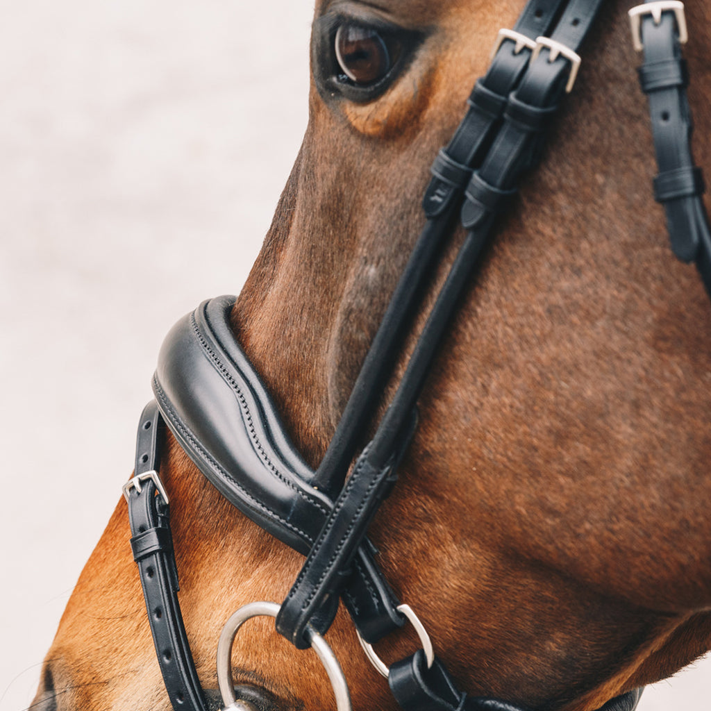 English Bridles for Horses – Dover Saddlery
