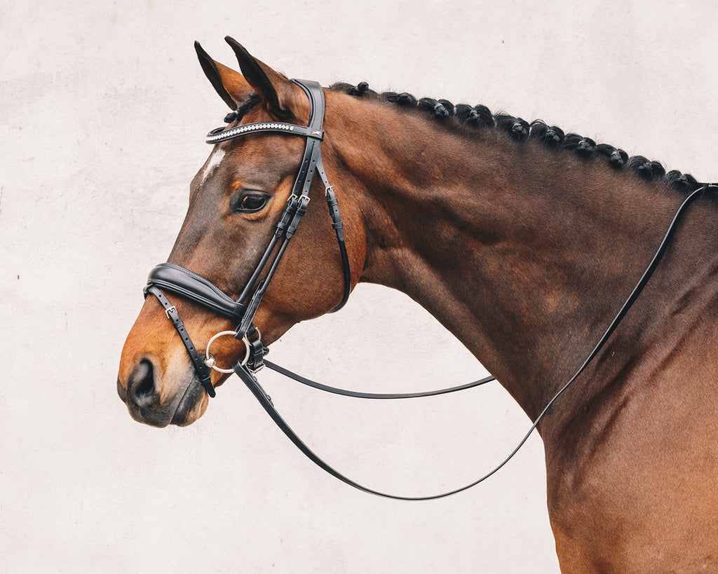 Horse Bridles and Parts – Dover Saddlery
