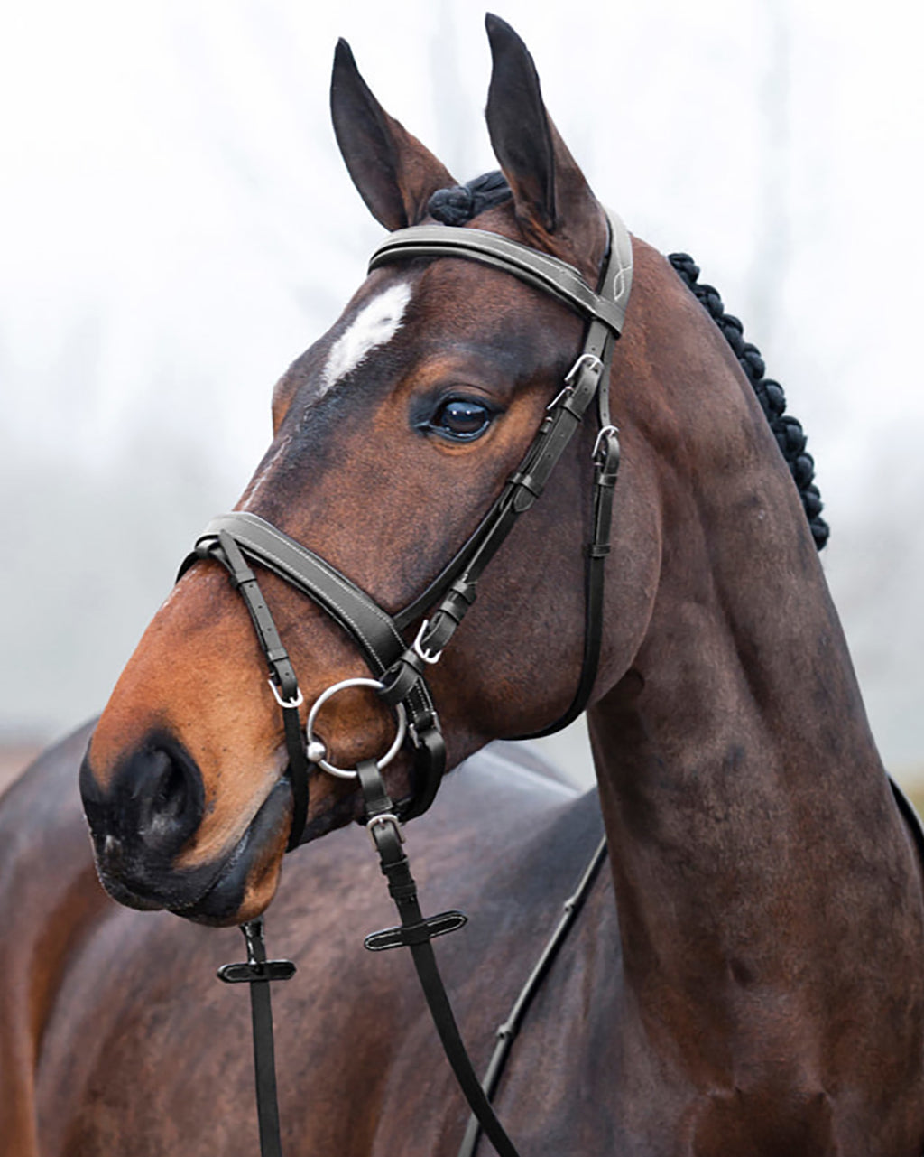 50% Off Select Tack – Page – Dover Saddlery
