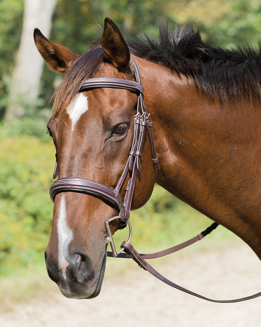 English Bridles for Horses – Page – Dover Saddlery