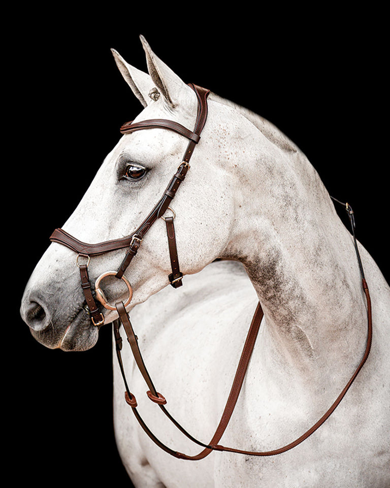 English Horse Tack & Equipment – Dover Saddlery