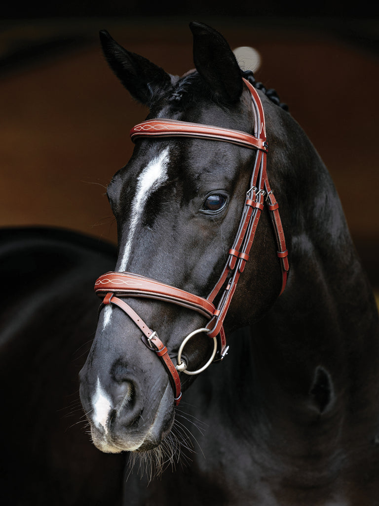 English Bridles for Horses – Dover Saddlery