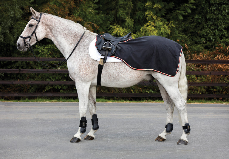 Horse Quarter Sheets, Exercise Rugs – Dover Saddlery