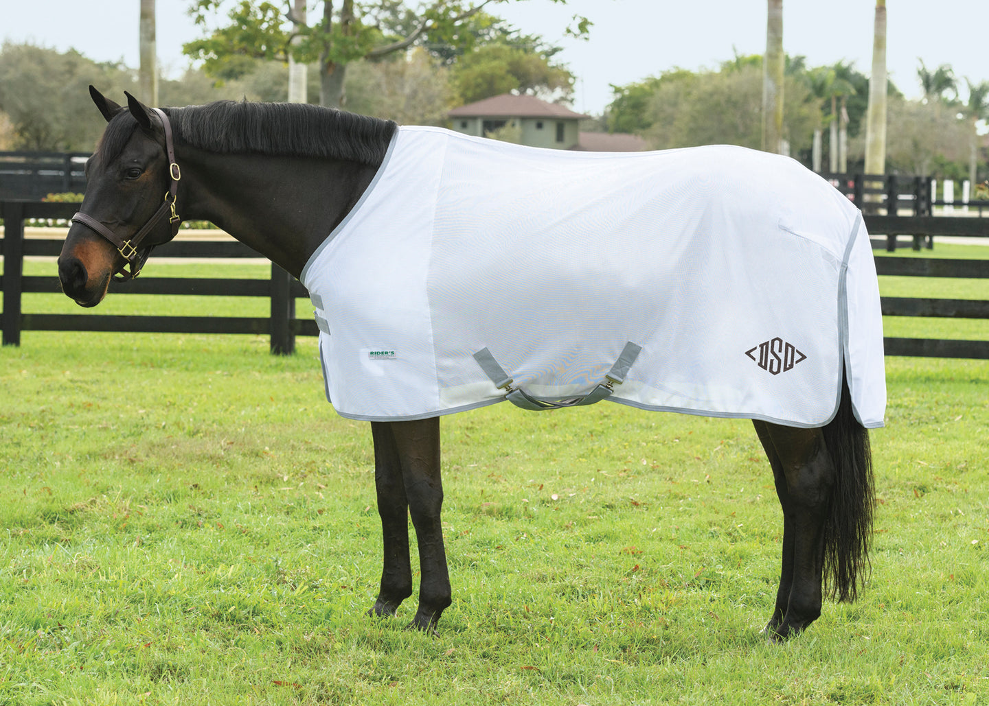 Fly Sheets for Horses – Dover Saddlery