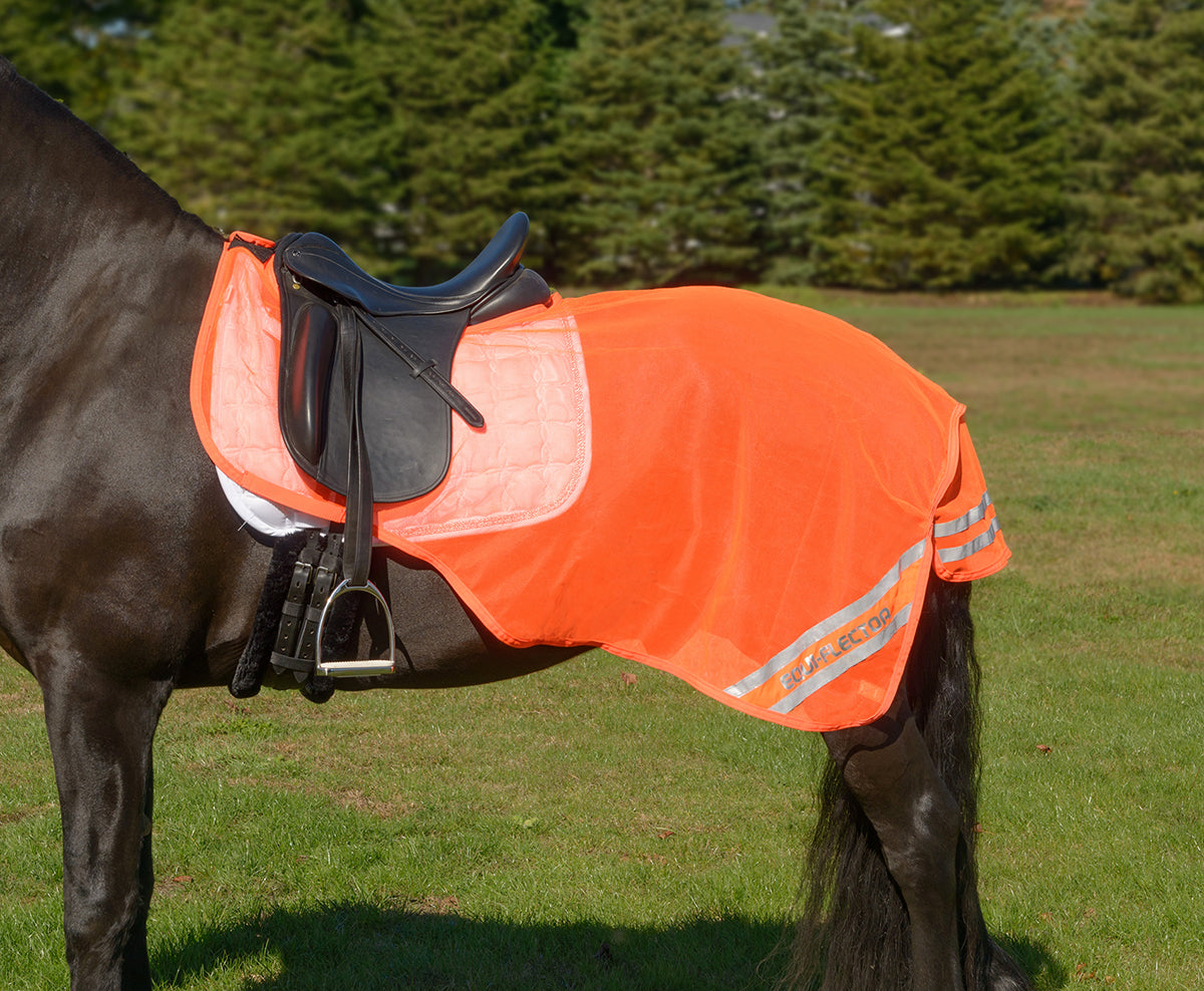 Horse Quarter Sheets, Exercise Rugs – Dover Saddlery