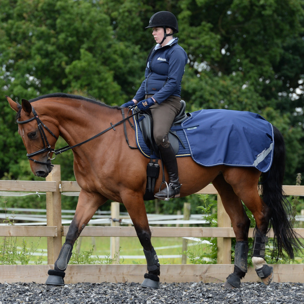 Horse Quarter Sheets, Exercise Rugs – Dover Saddlery