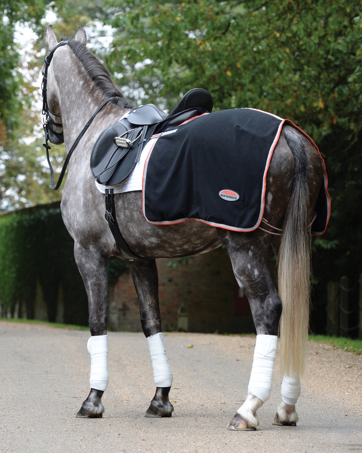 Horse Quarter Sheets, Exercise Rugs – Dover Saddlery