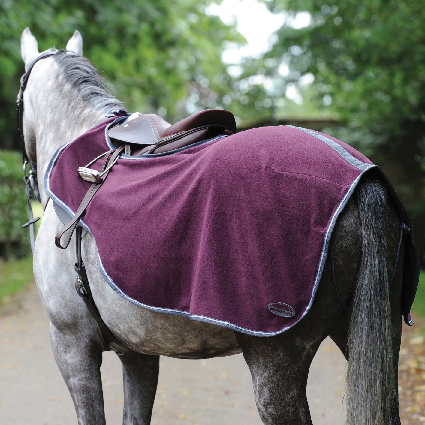 Horse Quarter Sheets, Exercise Rugs – Dover Saddlery