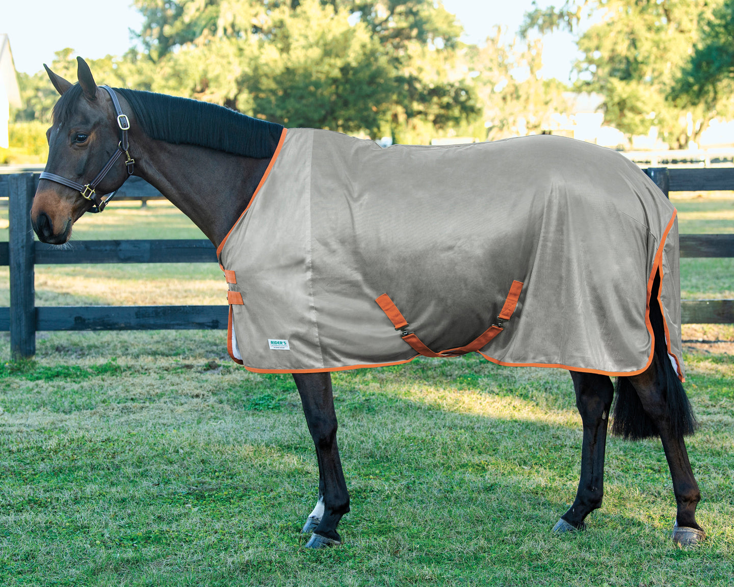 Fly Sheets for Horses – Dover Saddlery