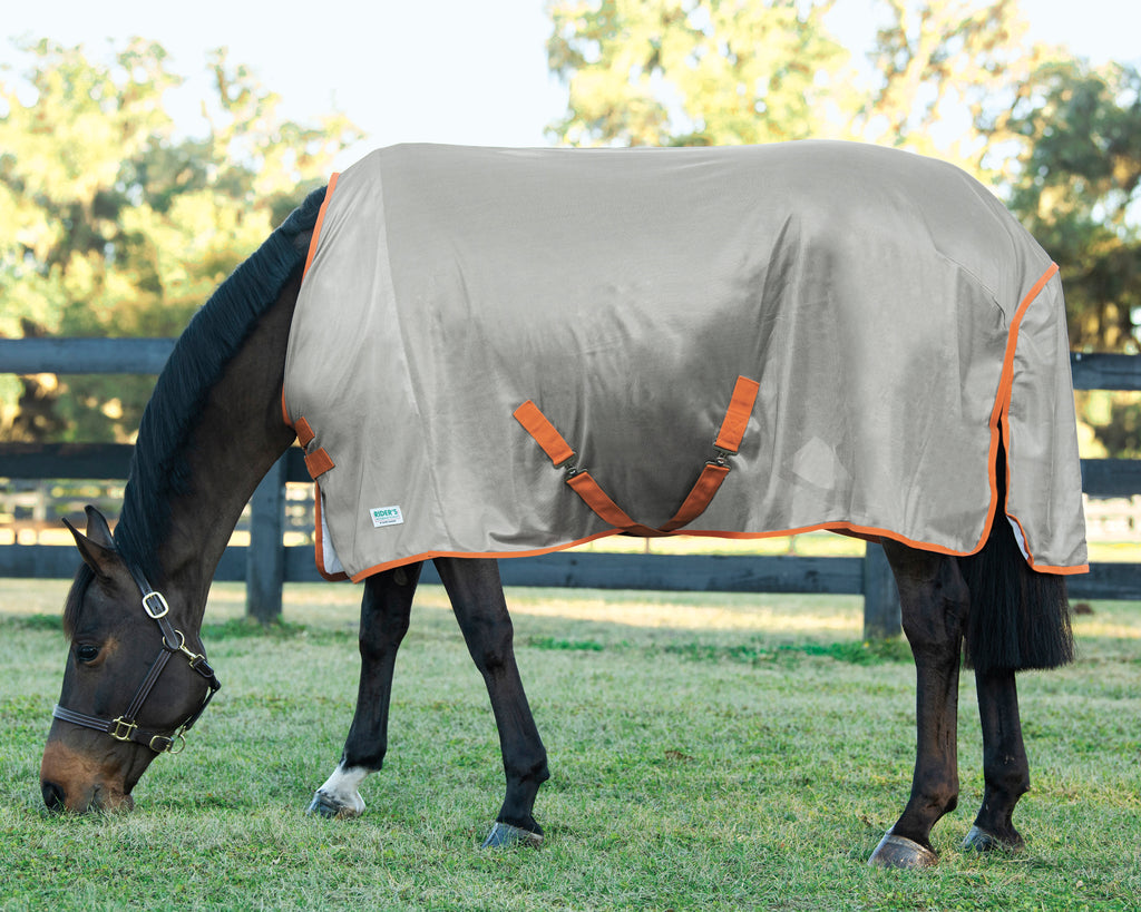 Fly Sheets for Horses – Dover Saddlery