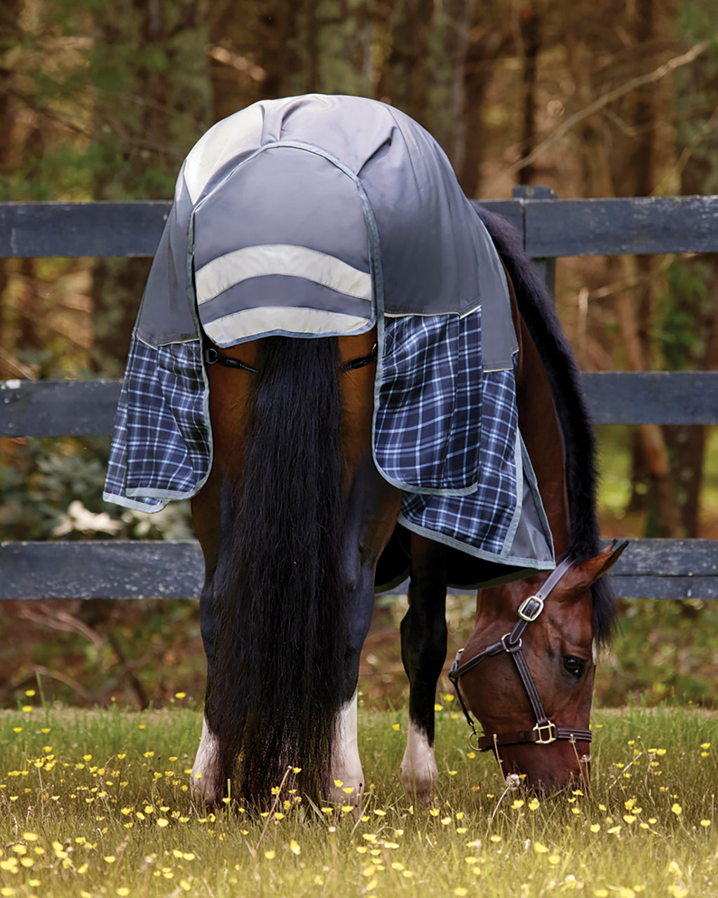 Horse Turnout Sheets – Dover Saddlery