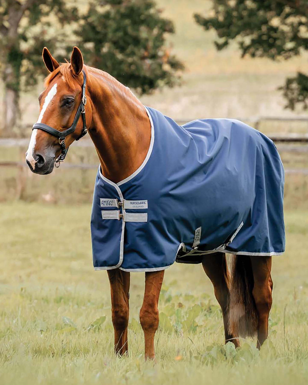 Horse Turnout Sheets – Dover Saddlery