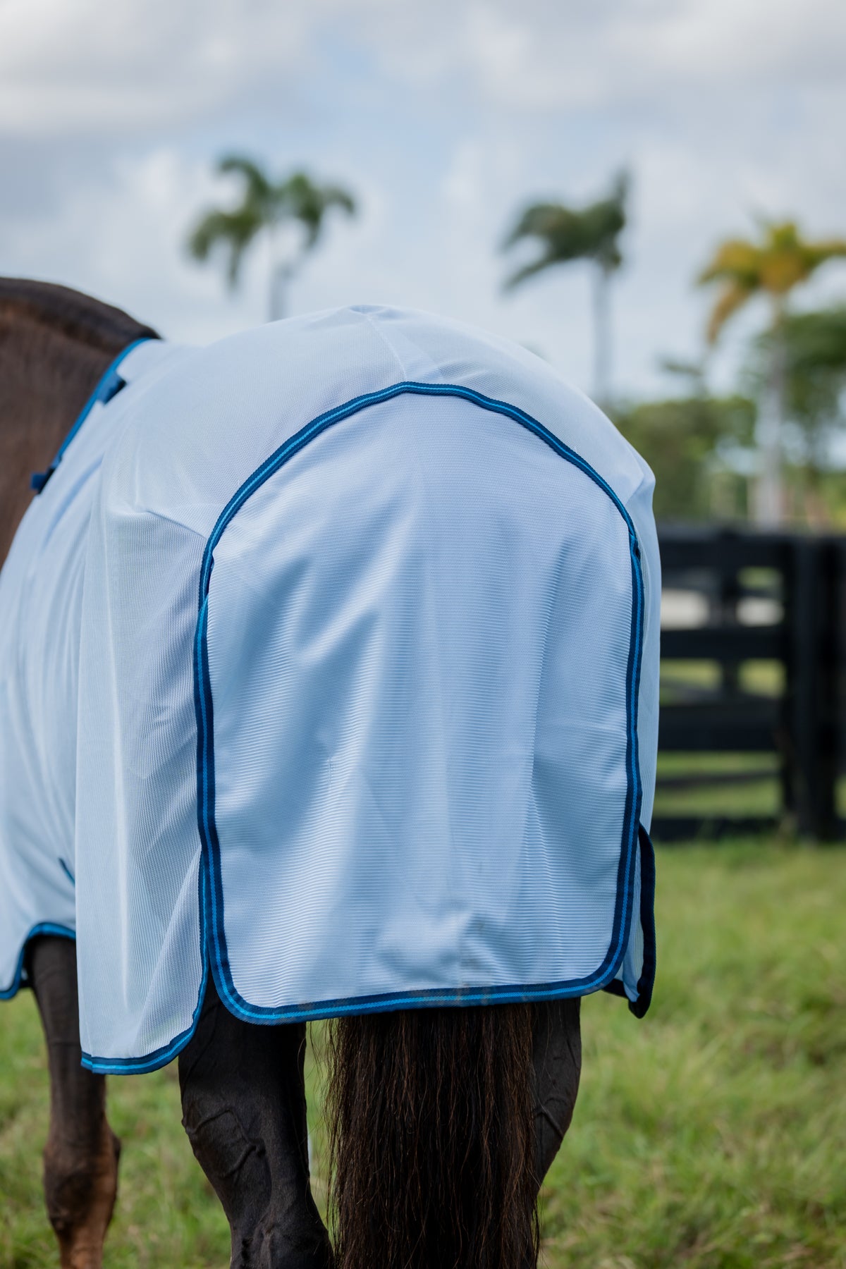 Fly Sheets for Horses – Dover Saddlery