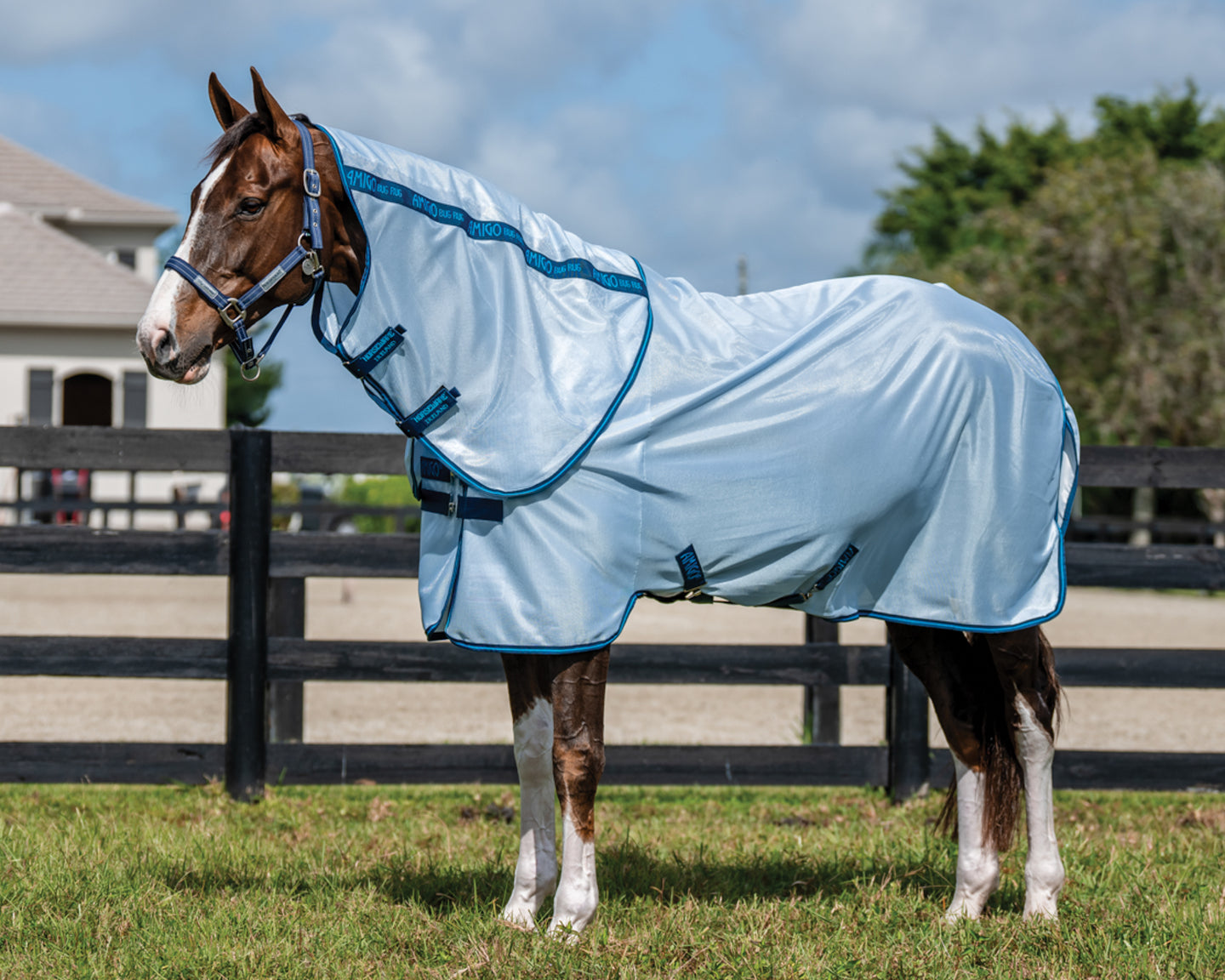 Fly Sheets for Horses – Dover Saddlery