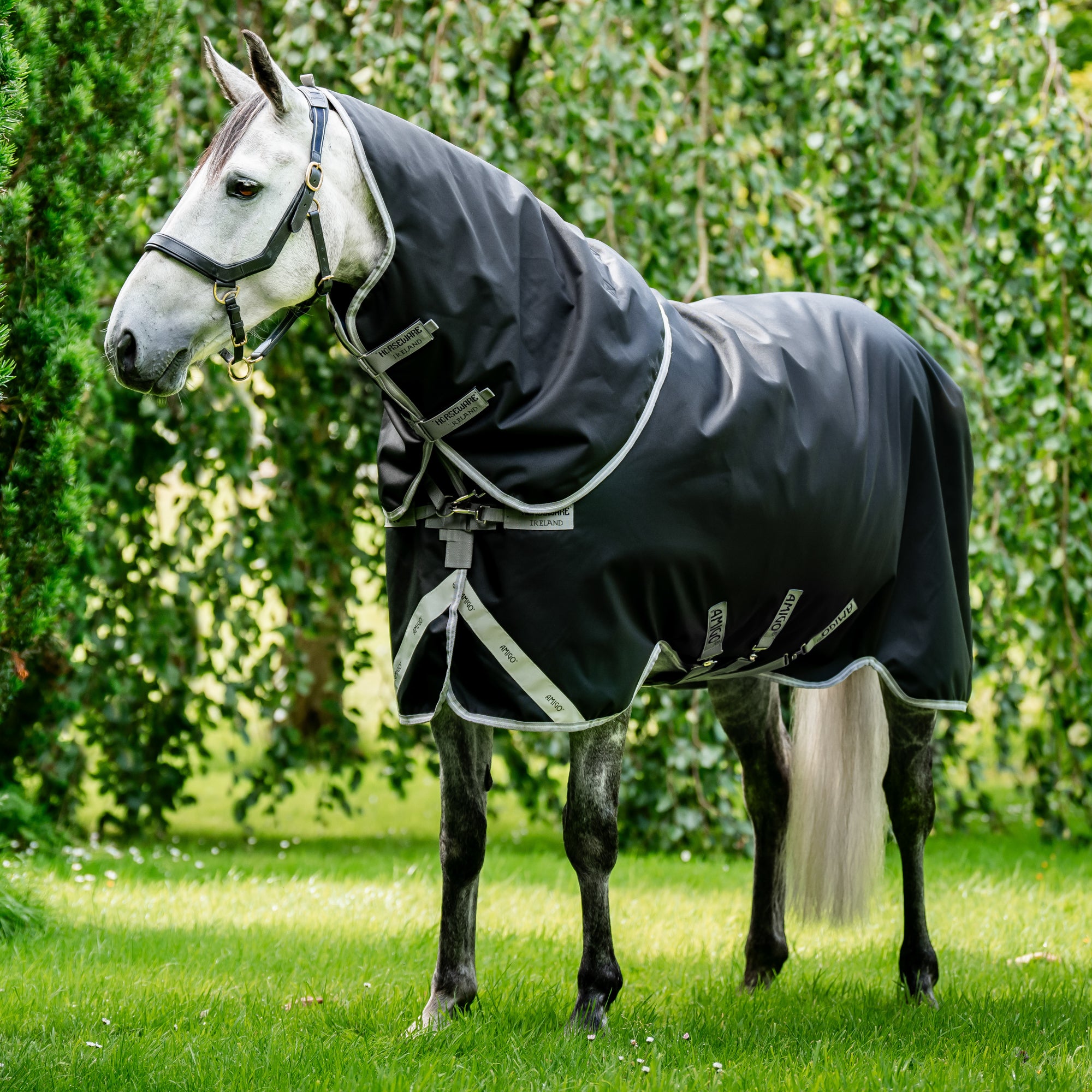 Horseware® Ireland Amigo® 1200D Plus Turnout – Dover Saddlery