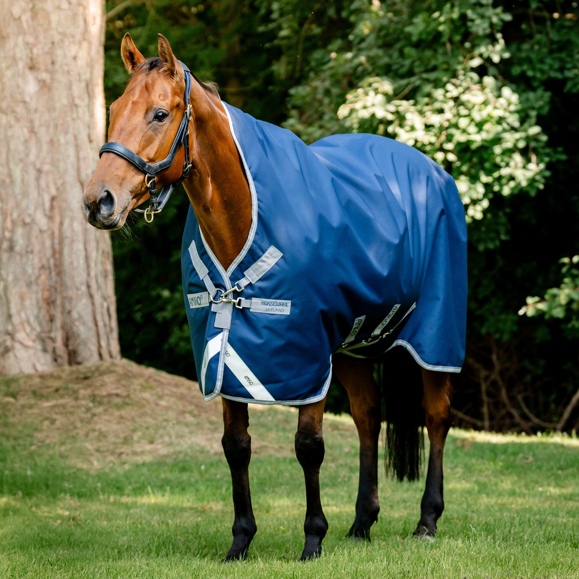 Horseware® Ireland Amigo® 1200D Wug Turnout Sheet – Dover Saddlery