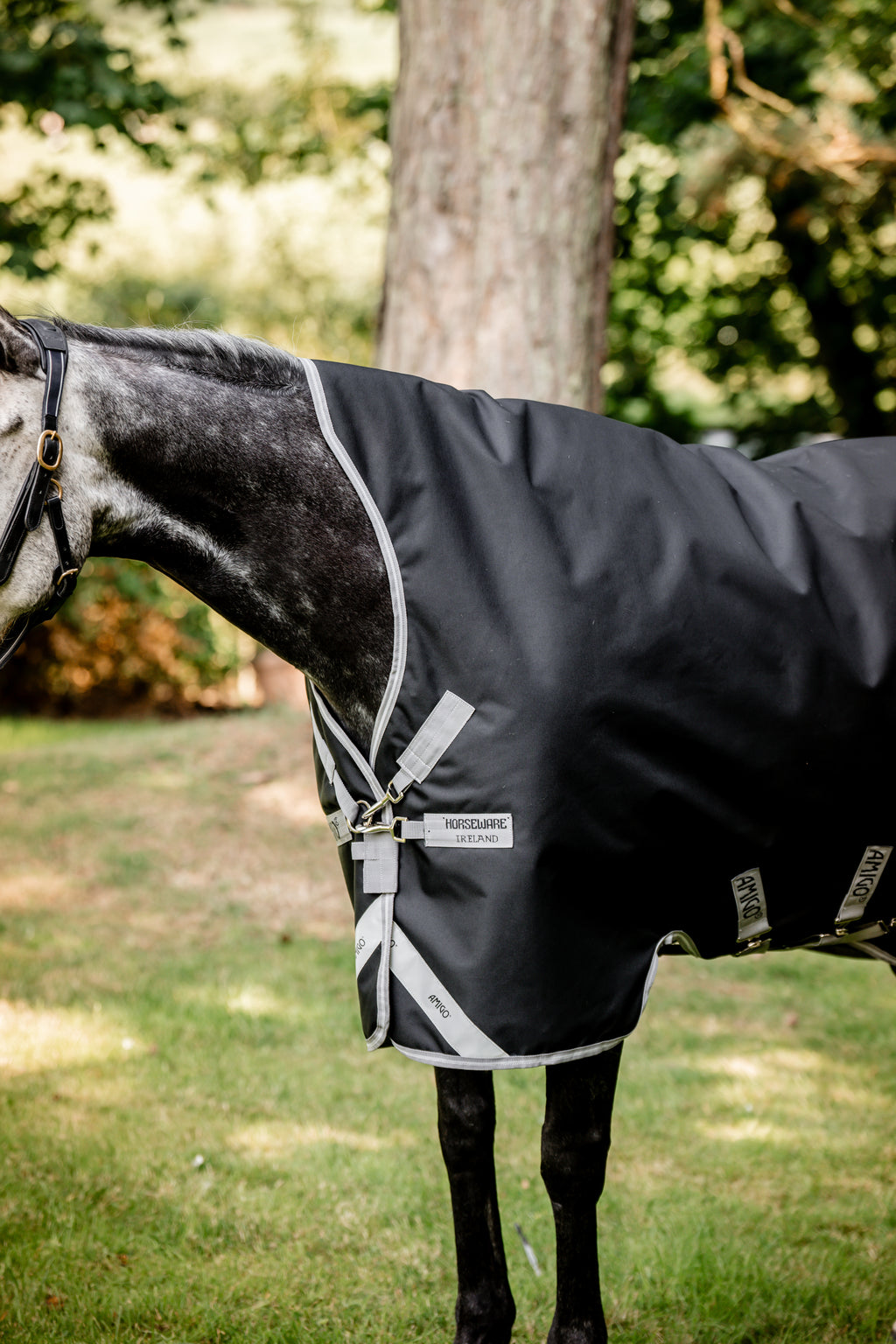 Horse Turnout Blankets – Dover Saddlery