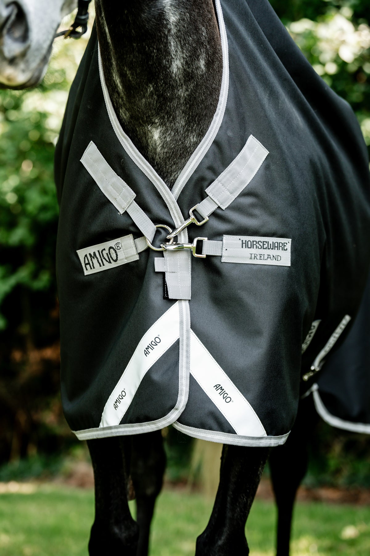 Horse Blankets & Sheets – Dover Saddlery