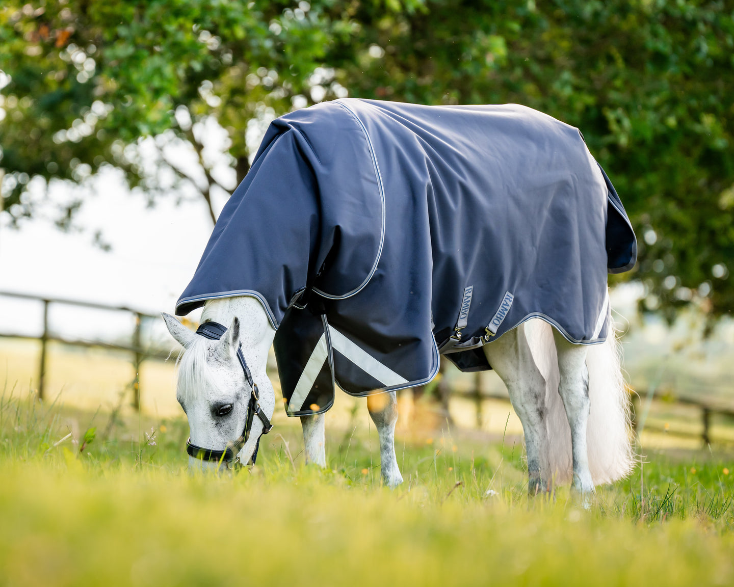 Horse Blankets & Sheets – Dover Saddlery