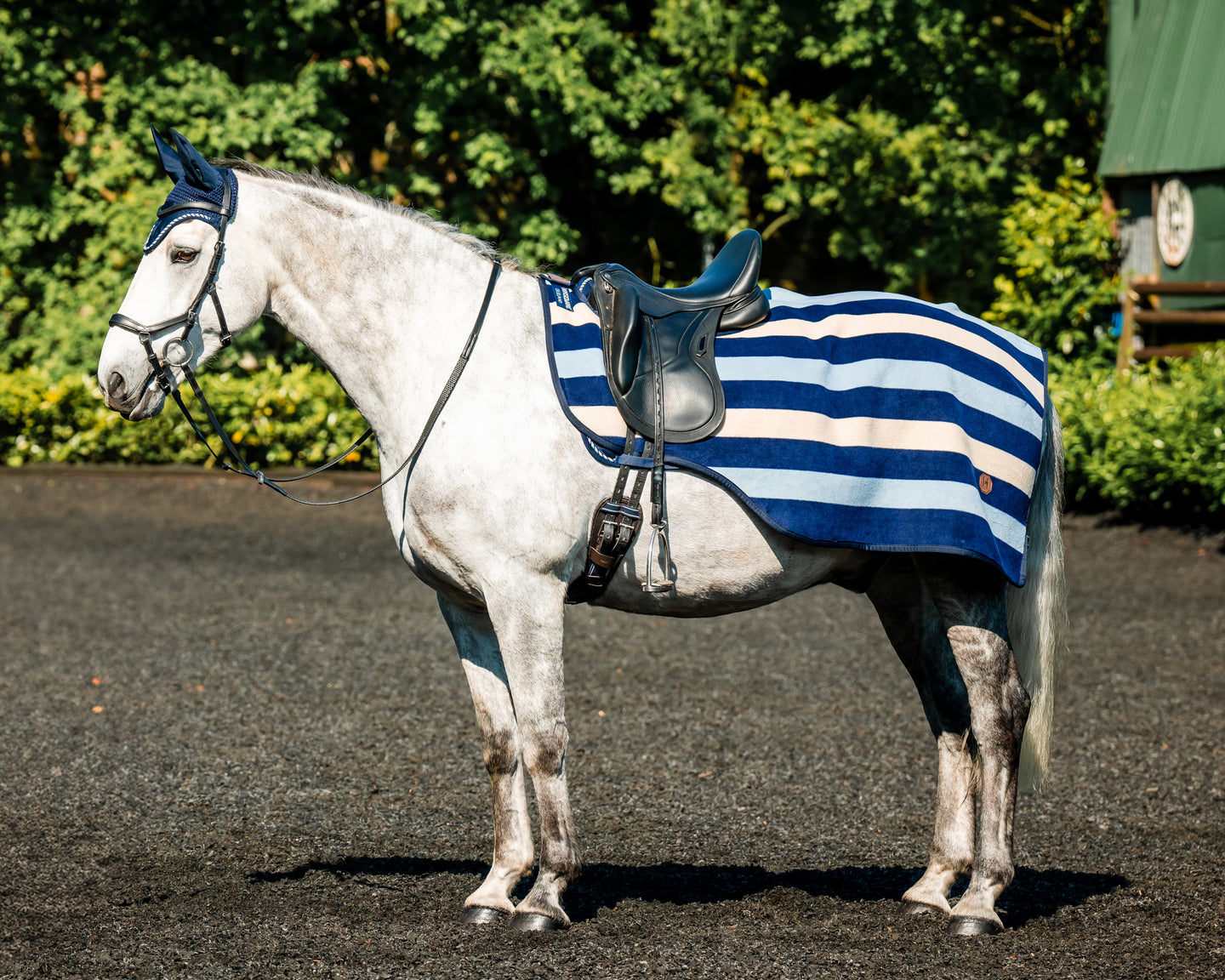 Horse Quarter Sheets, Exercise Rugs – Dover Saddlery