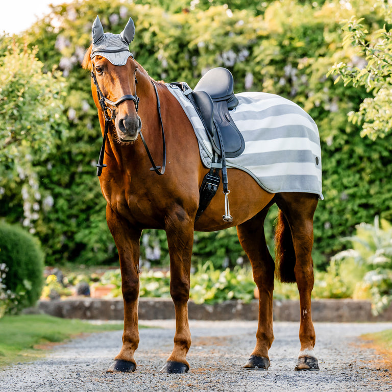 Horse Quarter Sheets, Exercise Rugs – Dover Saddlery